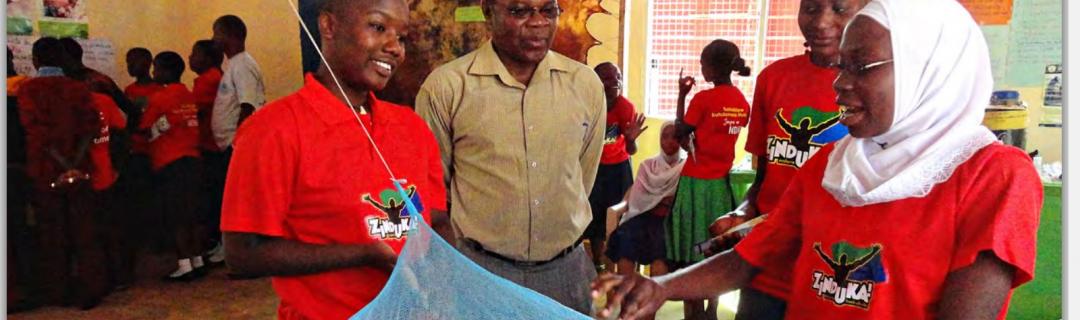 Malaria SBCC Strategies - The Compass for SBC